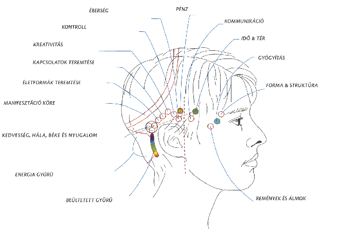ACCESS BARS KEZELÉS :: Dalolva gyógyulunk - gyógyulva dalolunk